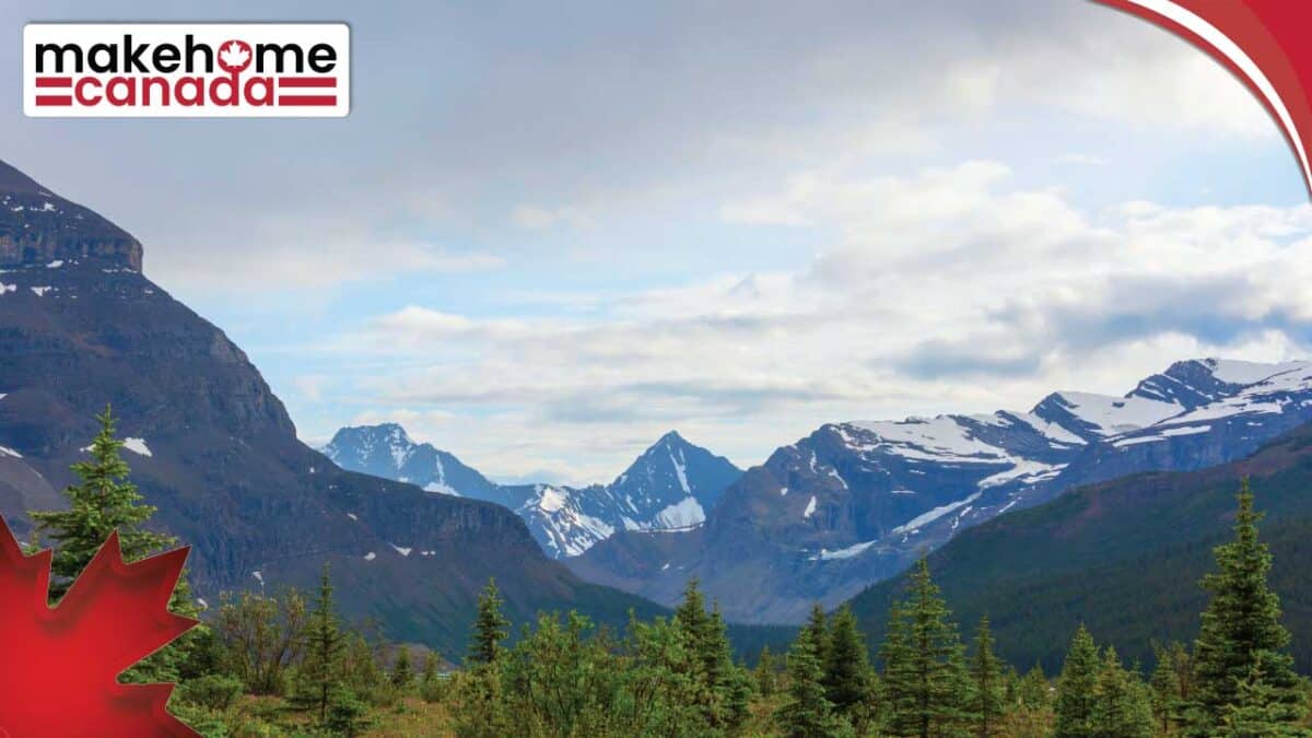 Pilot Programs' guideline creation- a suggestion by IRCC