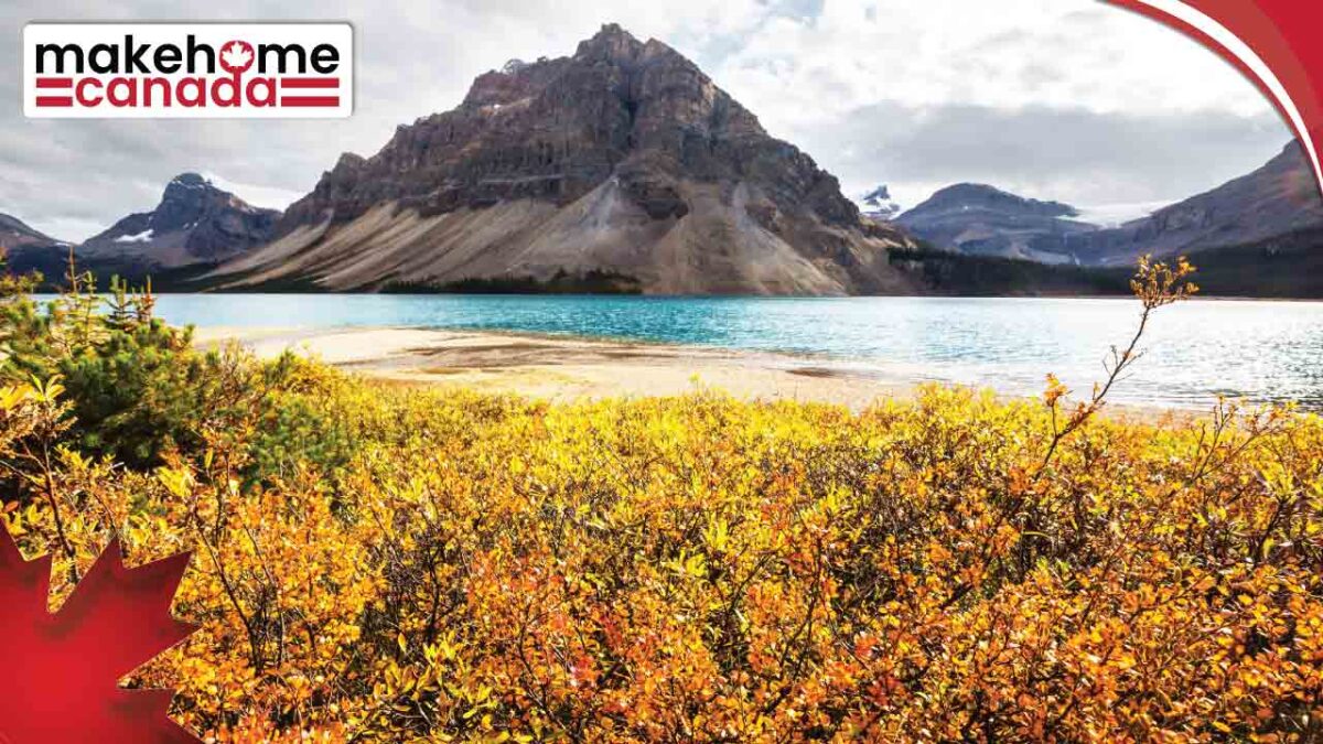 IRCC expands application trackers to four categories