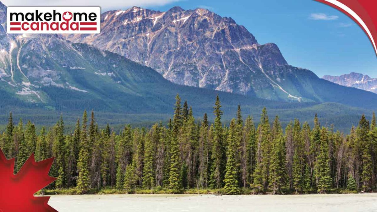 Provincial Nominee Program outcomes for four Canadian Provinces